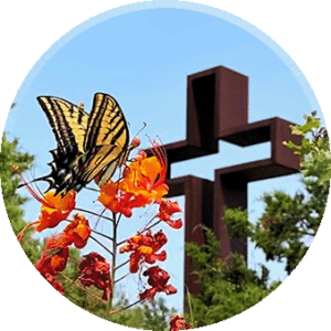 Home - The Cross at Kerrville